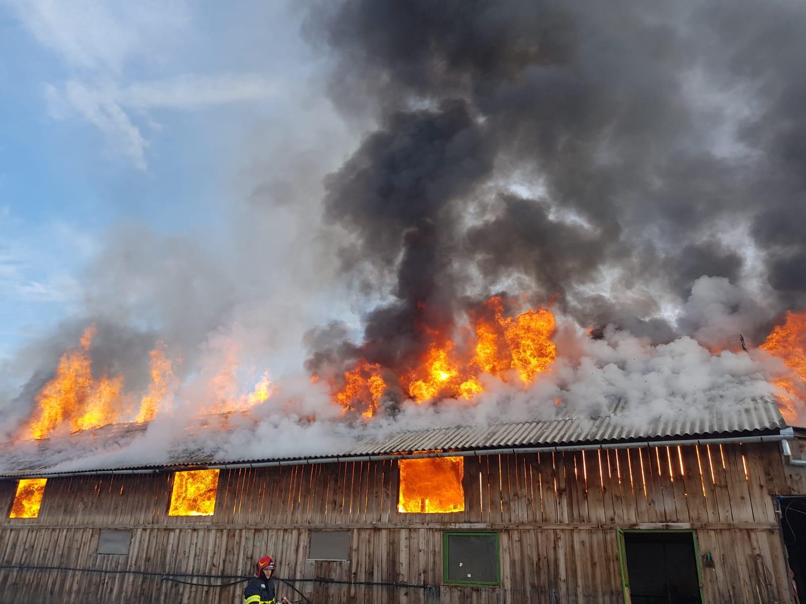 Incendiu devastator în Argeș! ARDE masiv! - Ziarul Top