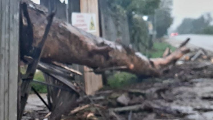 Copaci căzuți din cauza furtunii. Circulație blocată și gard distrus ...