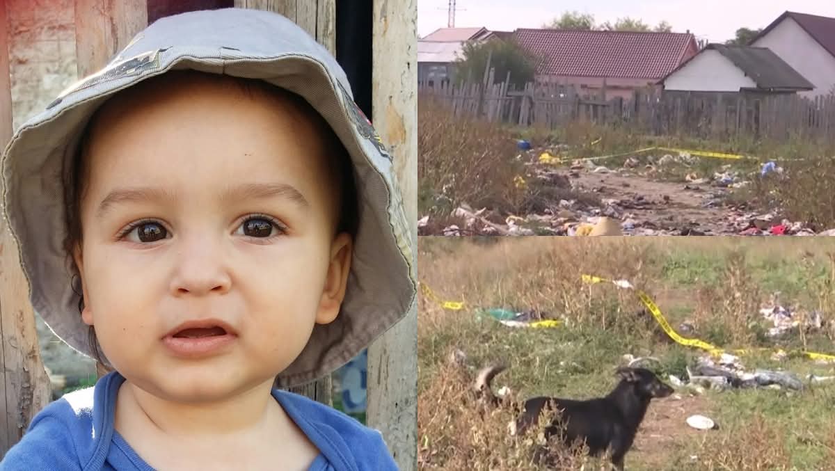El este copilul de 3 ani OMORÂT de o HAITĂ de câini! - Ziarul Top